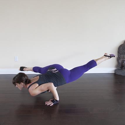 Eka Pada Koundinyasana II "Split-Leg Arm Balance Pose Version 2" – YogaPaws