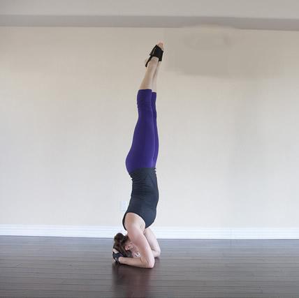 Sirsasana I "Headstand Pose" – YogaPaws